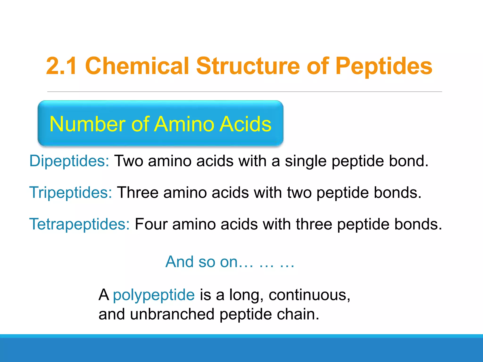 Peptides and Proteins | PPTX