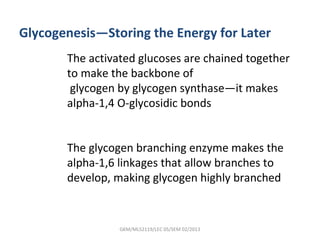 Che 214 lecture 04 | PPT