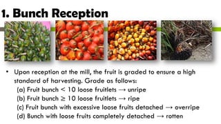 Che323 l1.1 palm oil milling & refining mii | PDF
