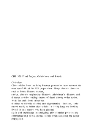 CHE 329 Final Project Guidel | DOCX