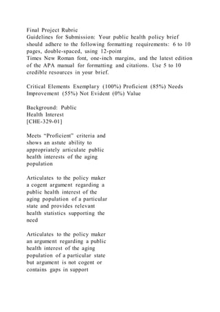 CHE 329 Final Project Guidel | DOCX