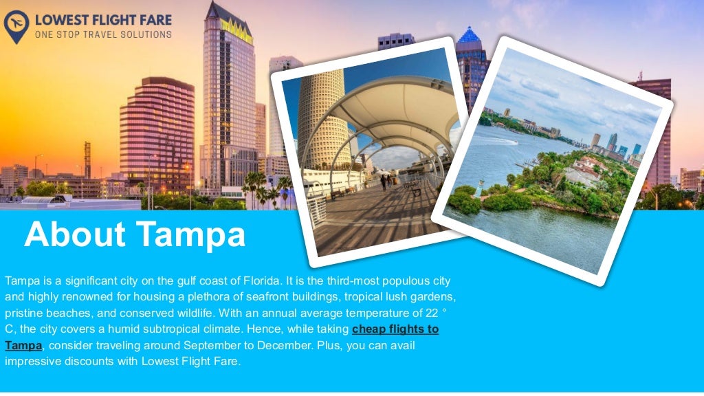 Cheap Flight To Tampa.pdf
