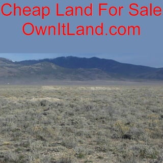 Vacant Land Sale Texas | PDF
