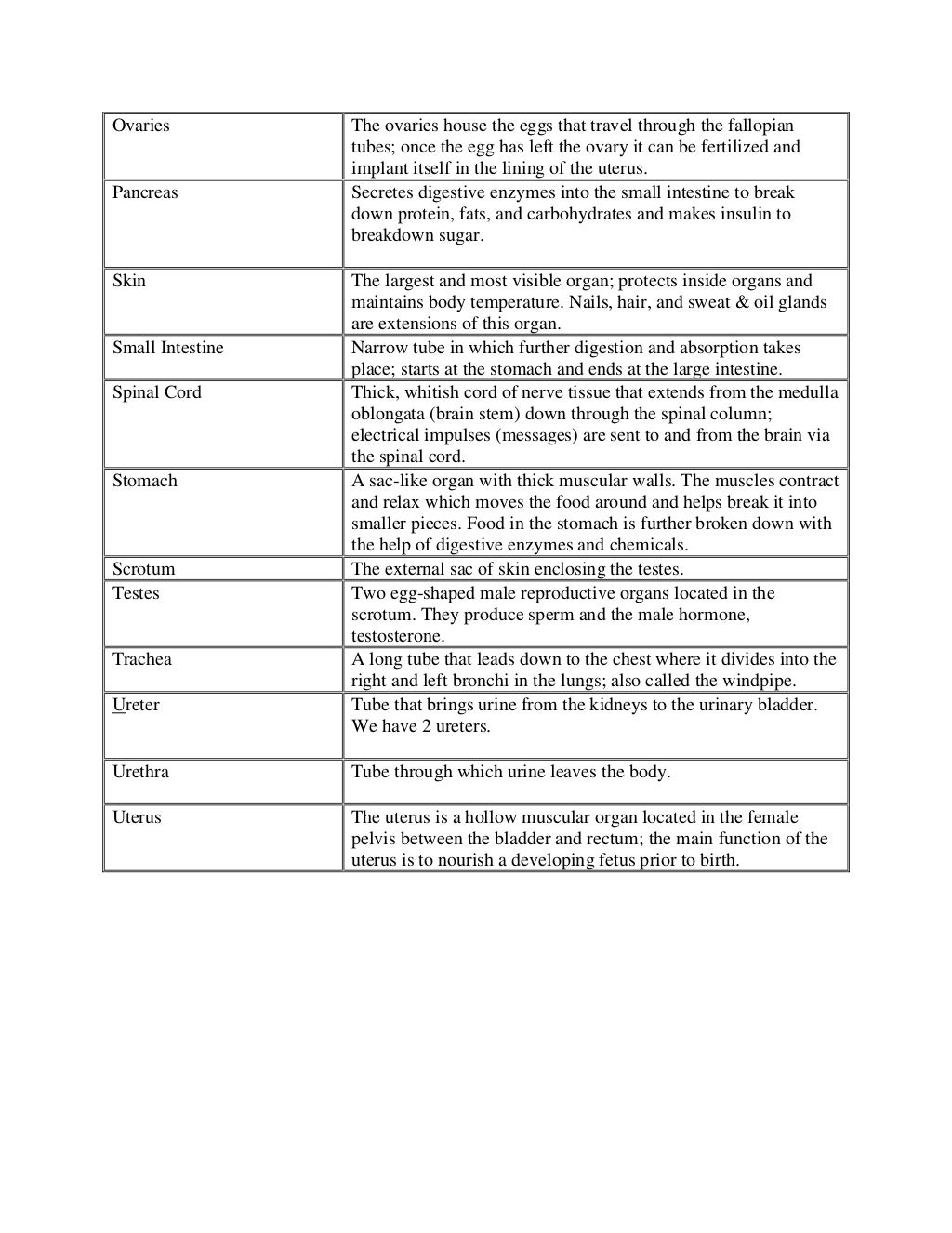 Examples Of Cheat Sheets