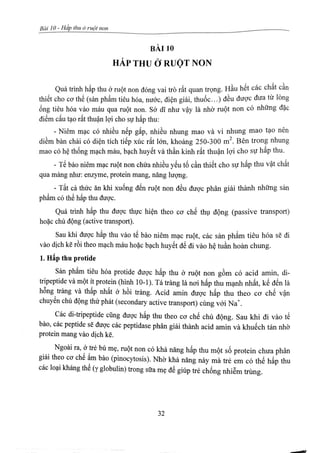 Hấp thu của ruột non | PDF