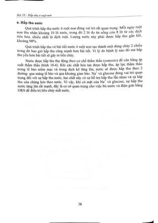 Hấp thu của ruột non | PDF