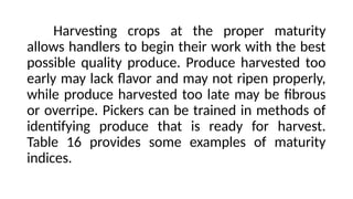 Checking Maturity Indices of Vegetable Crops.pptx