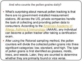 Checking Pollen Count Today? Here’s Everything to Know About Pollen ...