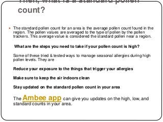 Checking Pollen Count Today? Here’s Everything to Know About Pollen ...
