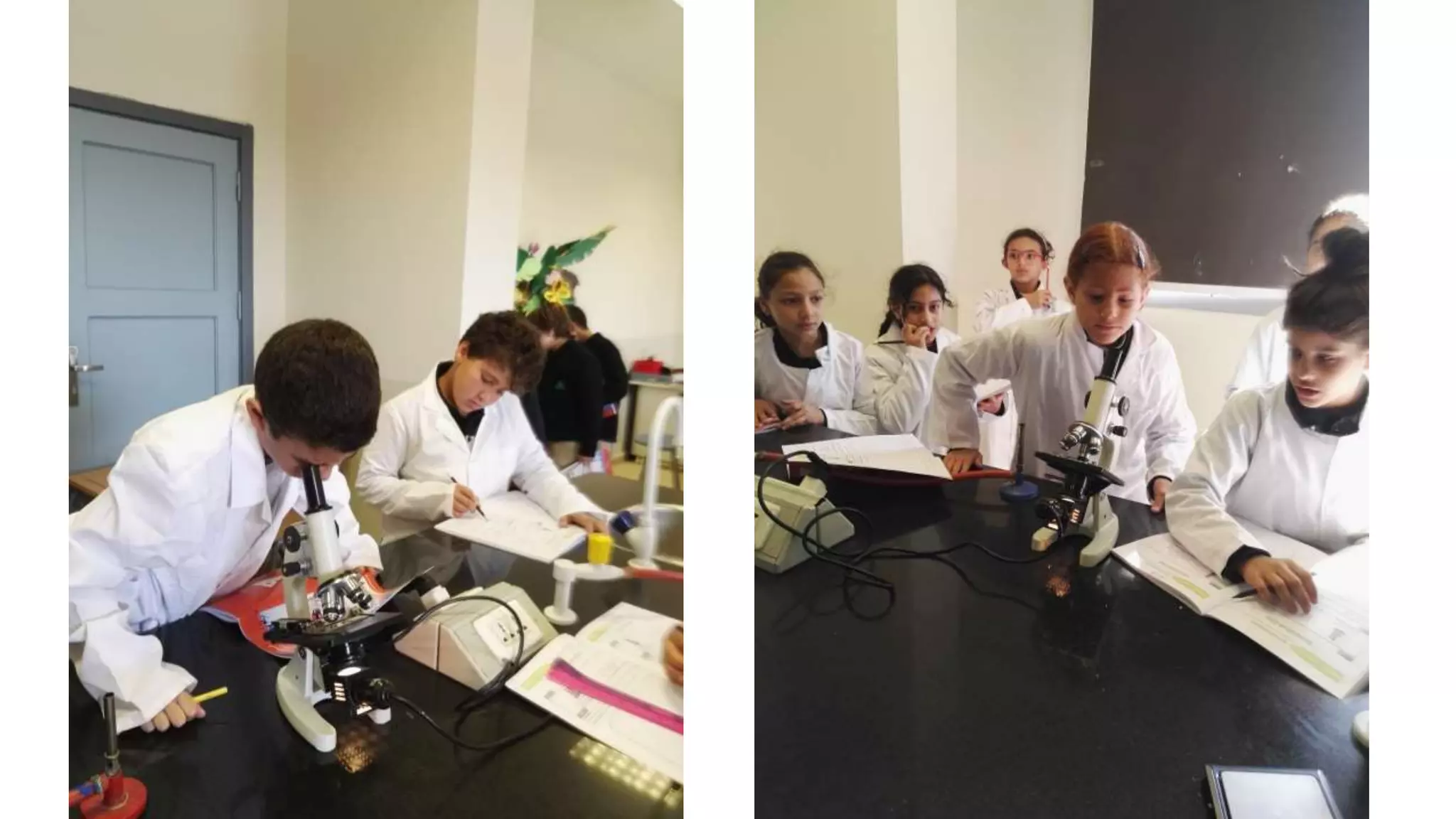 Checking the plant and animal cell under the microscope | PPTX ...