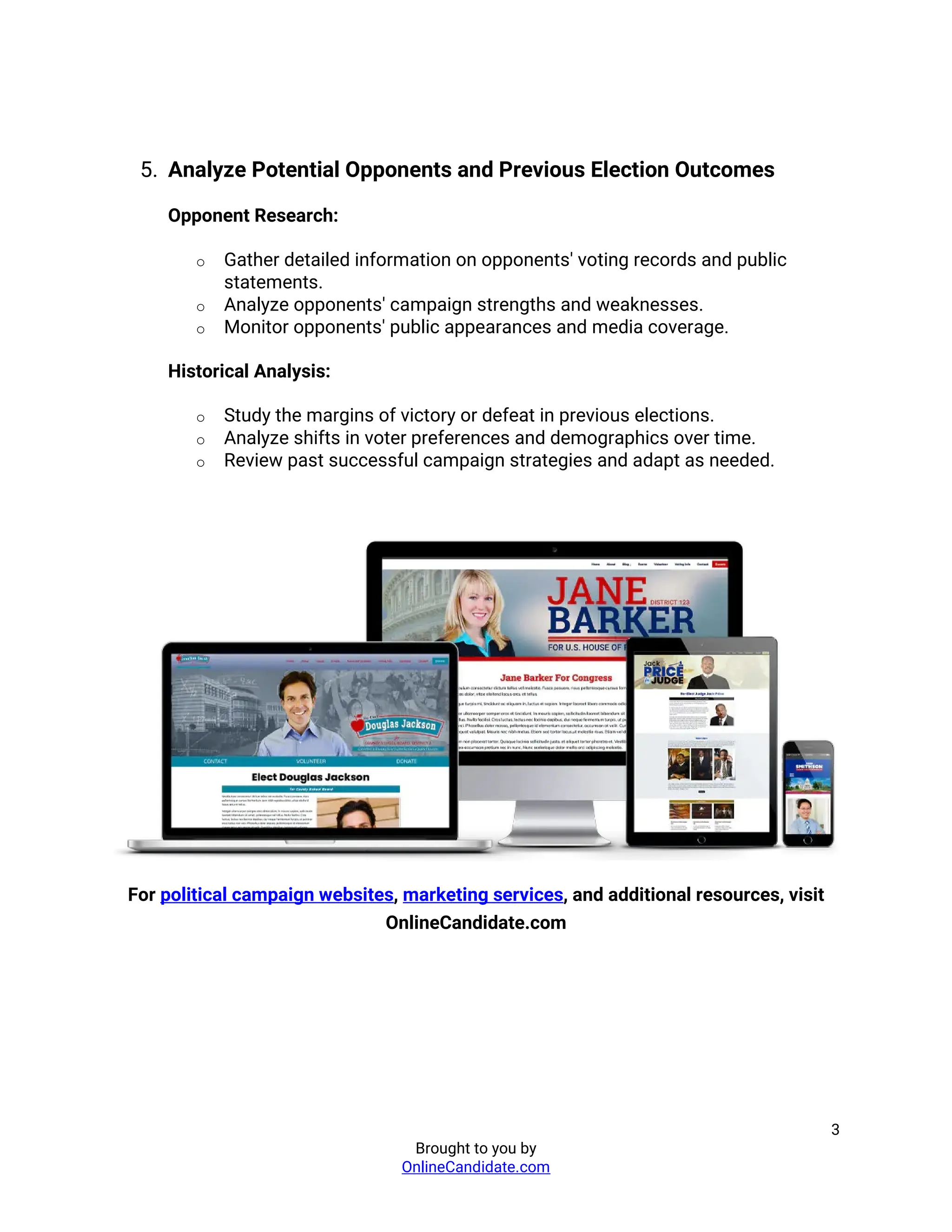 Pre-Campaign Political Checklist | PDF