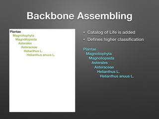 GBIF Checklist bank and the backbone | PDF