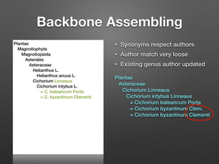 GBIF ChecklistBank and Backbone building | PDF