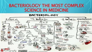 Basics for culturing and antimicrobial sensitivity testing in ...
