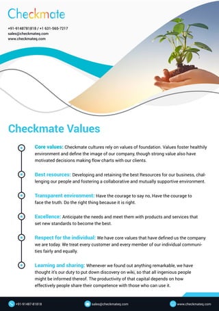 Checkmate Management Consulting | PDF | Cloud Computing | Internet