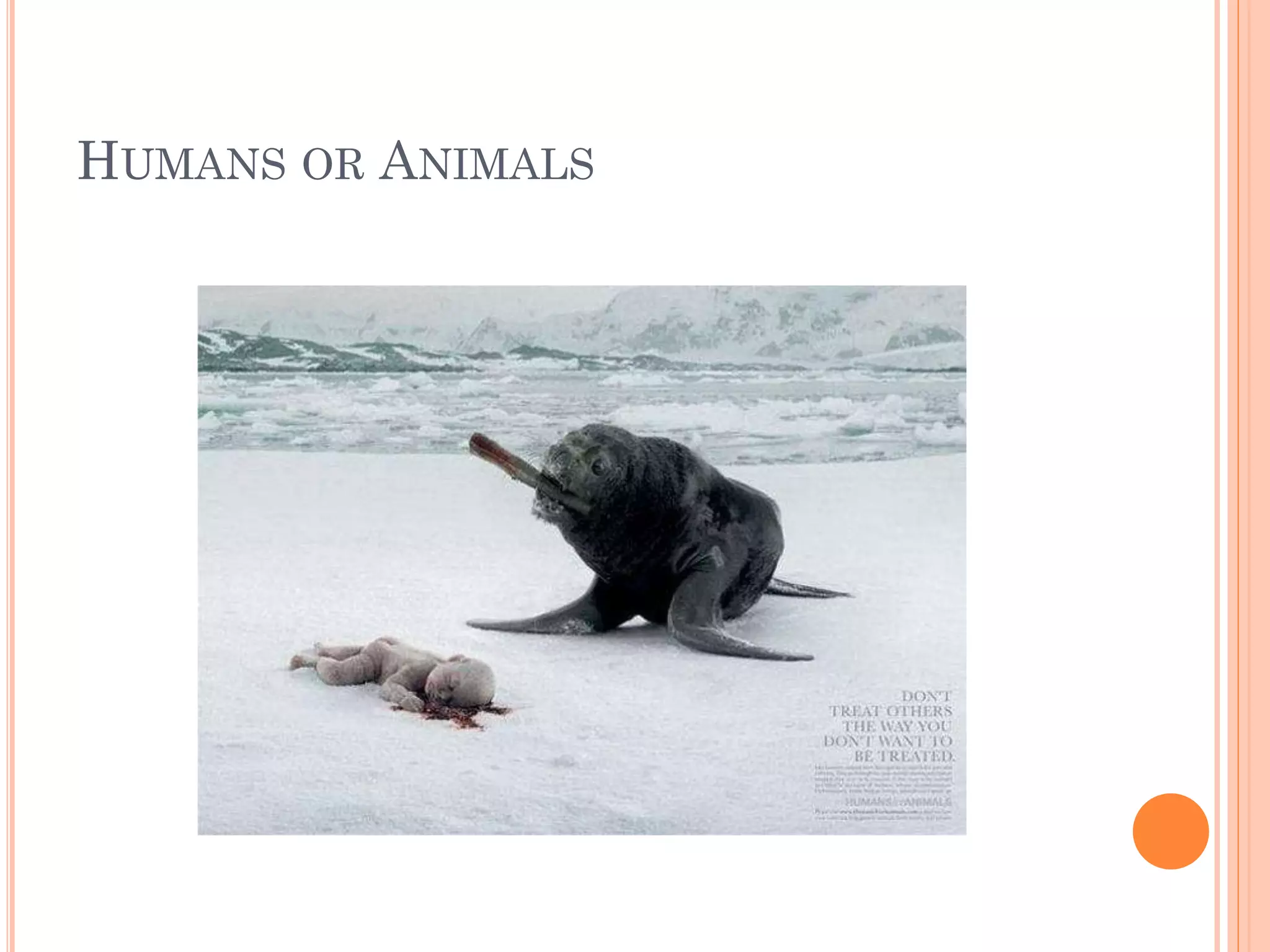 Check out 10 most controversial print advertisements | PPT