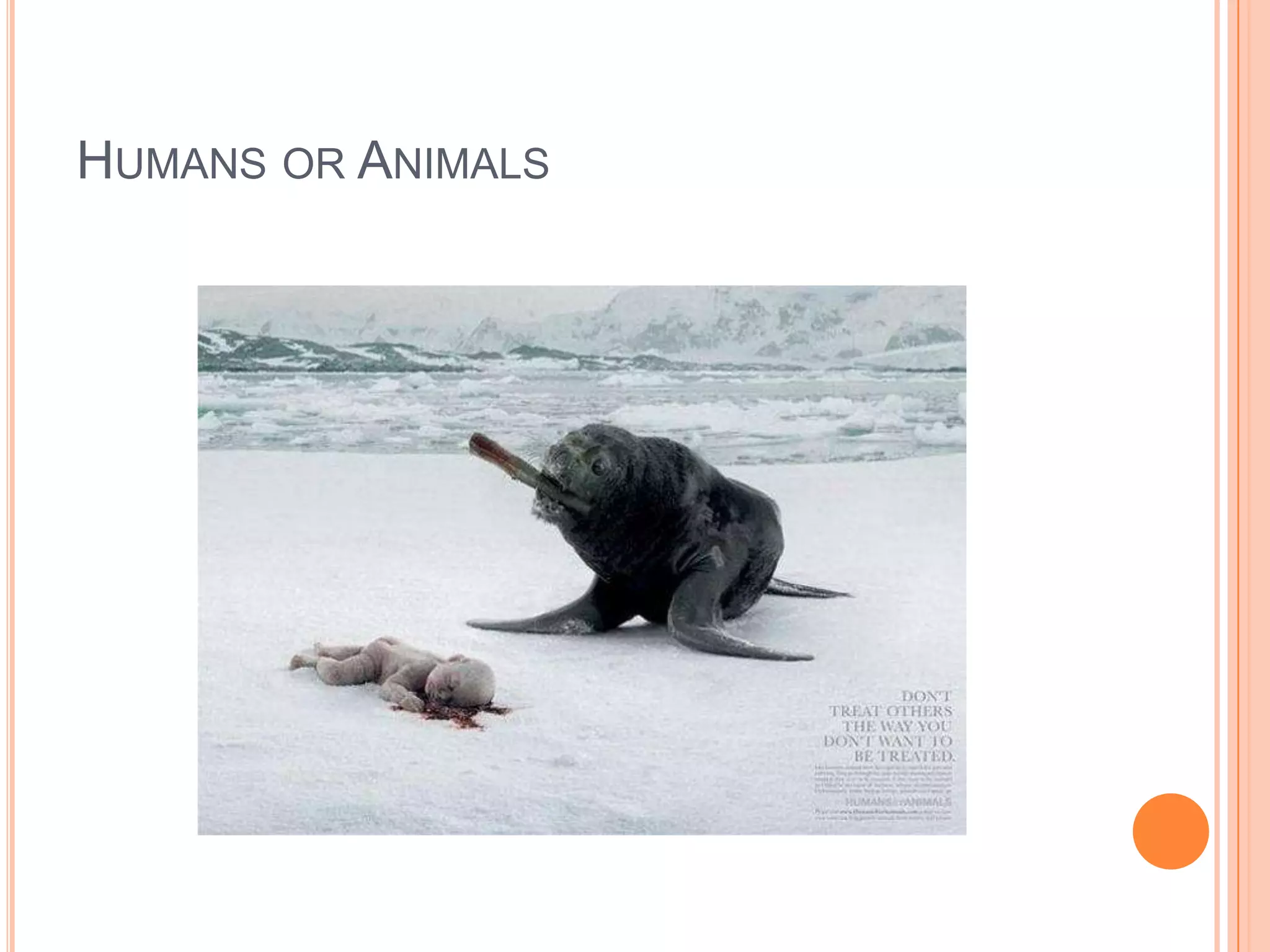 most controversial print advertisements | PPTX