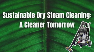 A Cleaner Tomorrow: Sustainable Dry Steam Cleaning | PDF