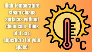 A Cleaner Tomorrow: Sustainable Dry Steam Cleaning | PDF