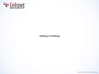 Check Point - Advanced Kernel Debug | PDF