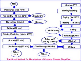 Cheddar Cheese | PDF