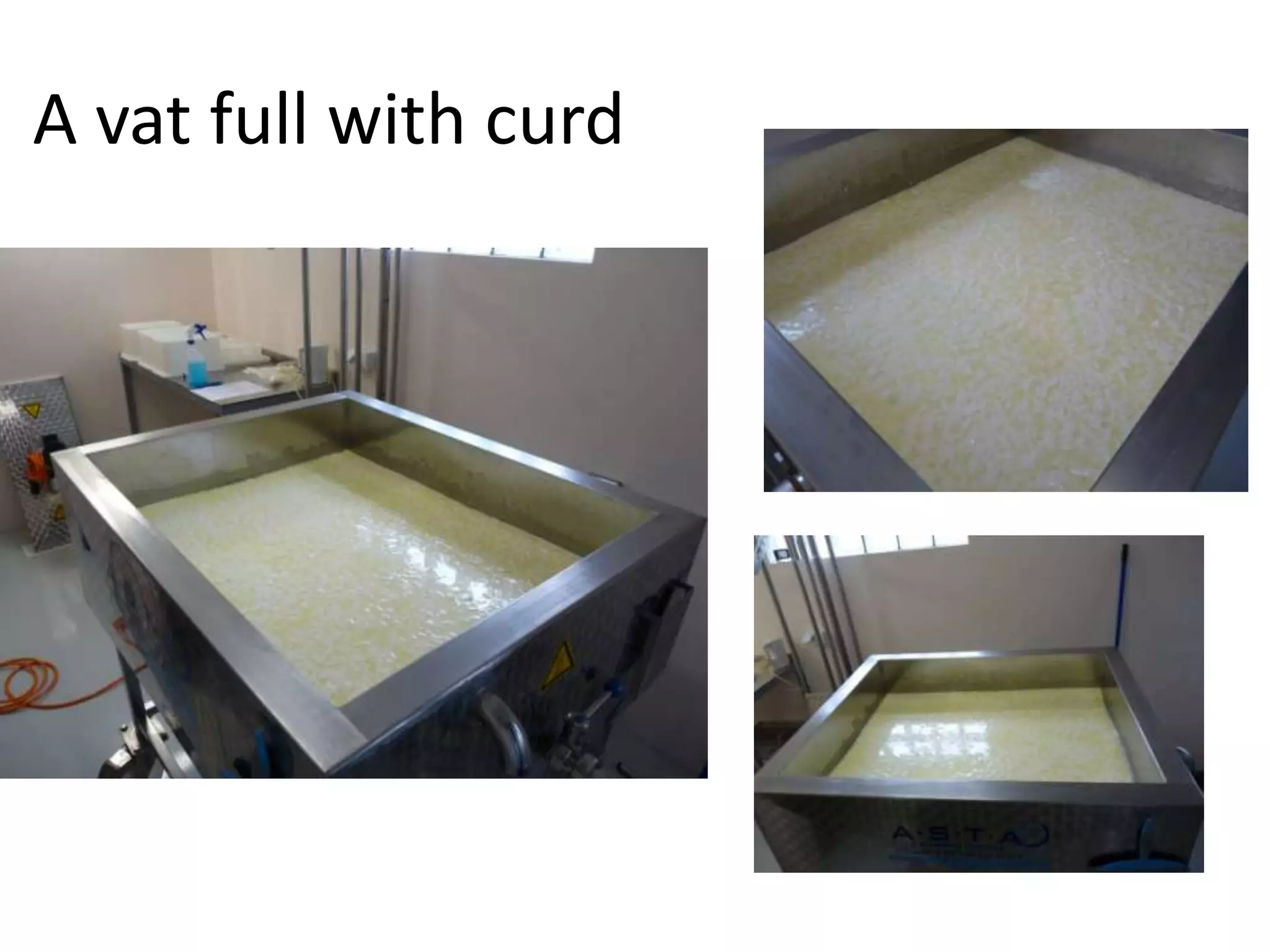 Cheddar making in a 200l vat | PPTX