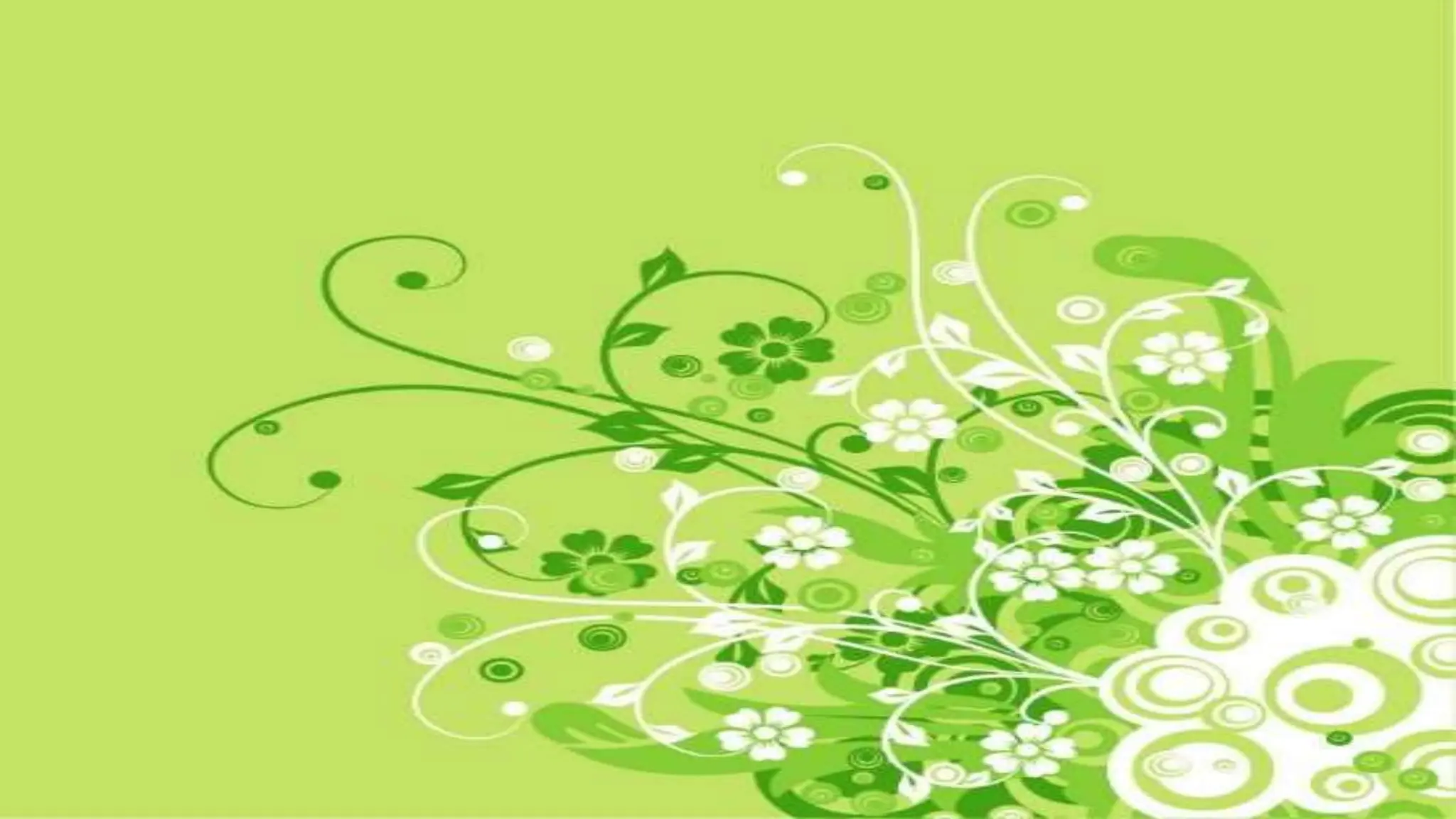 CHED Program for Tertiary Education Programs.pptx