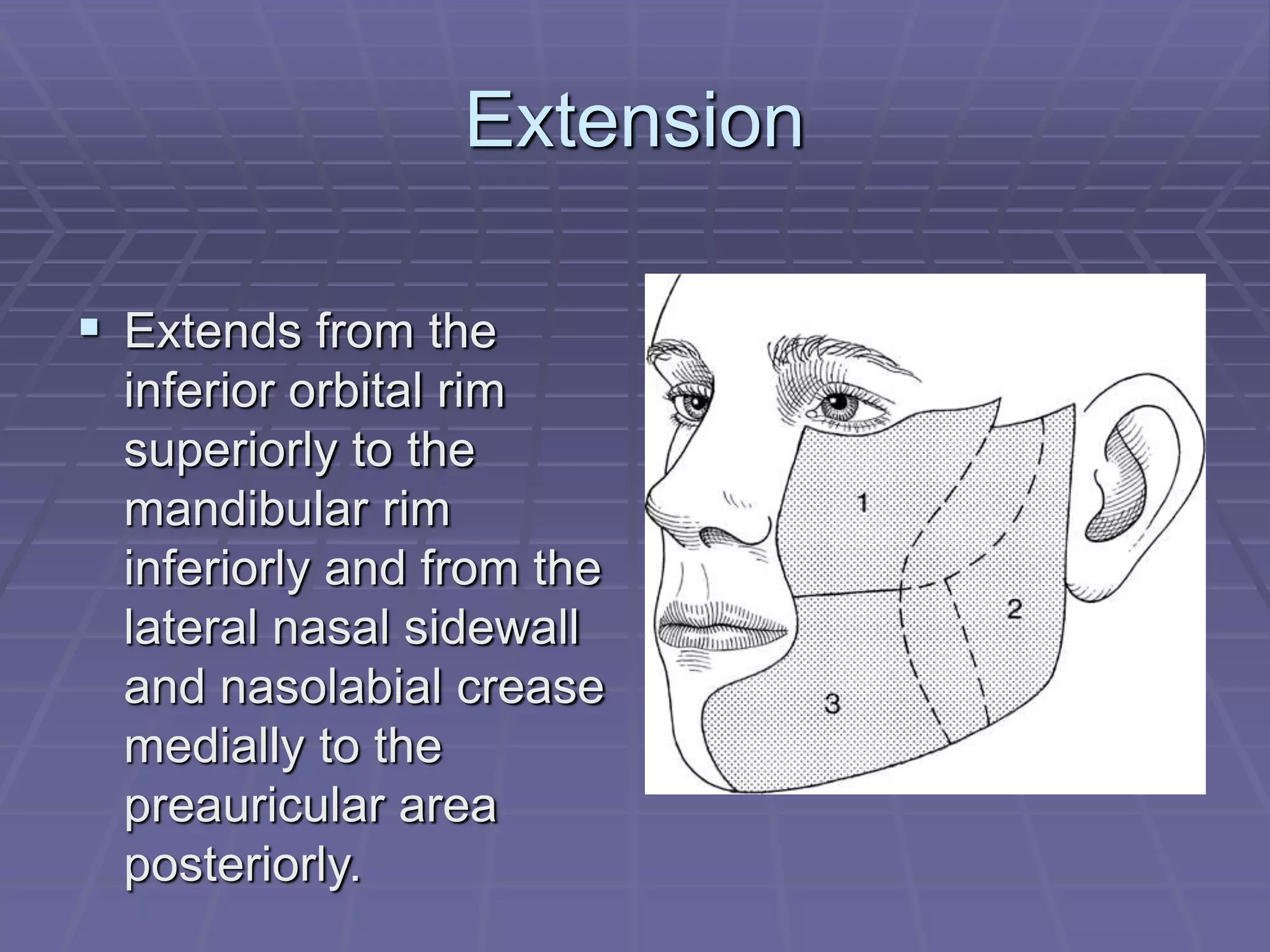 cheek-reconstruction-ppt.ppt