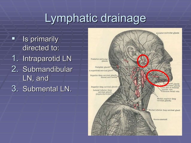 cheek-reconstruction-ppt.ppt