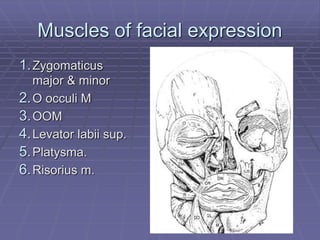cheek-reconstruction-ppt.ppt