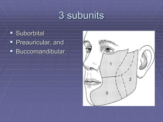 cheek-reconstruction-ppt.ppt
