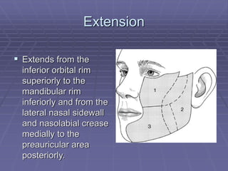 cheek-reconstruction-ppt.ppt