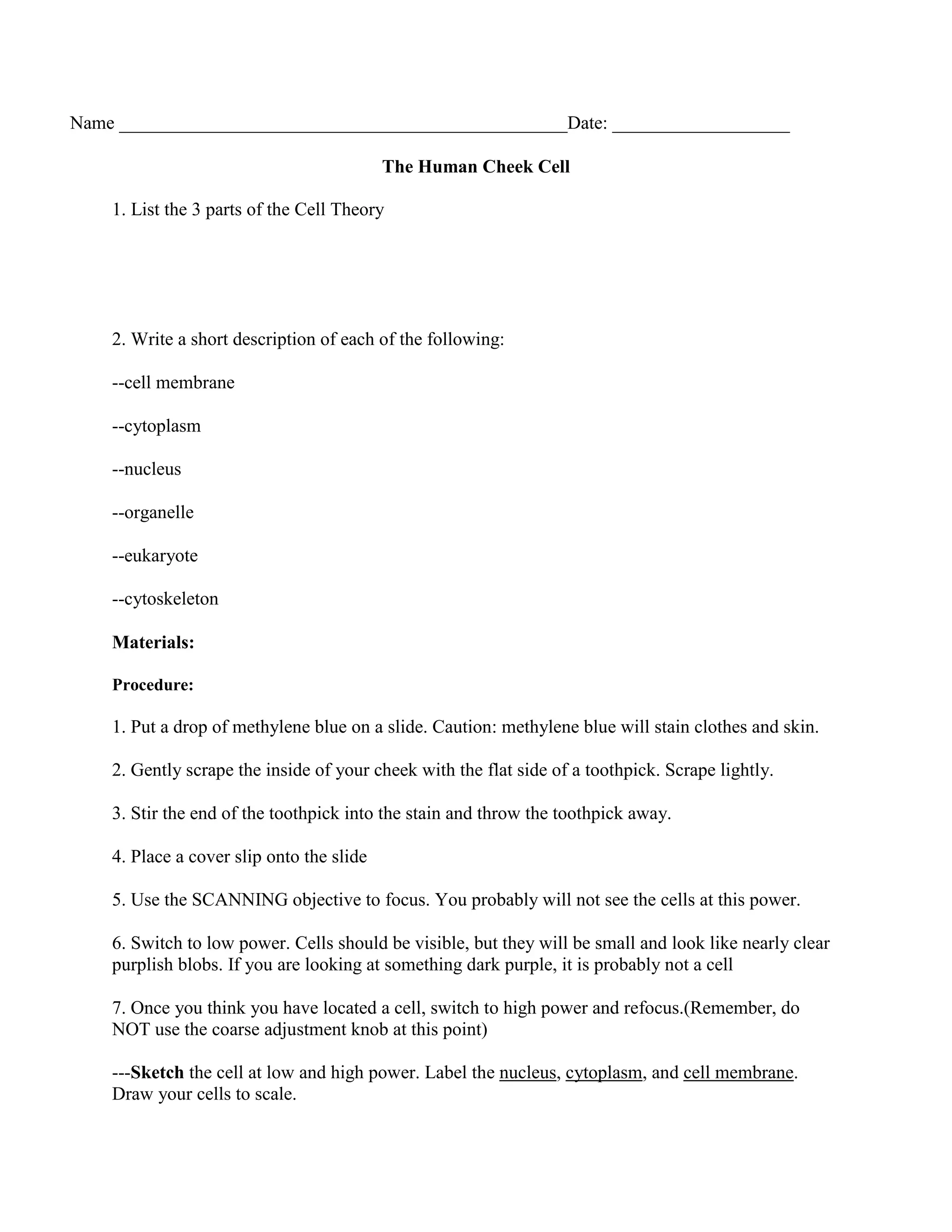 Cheek cell lab | DOCX