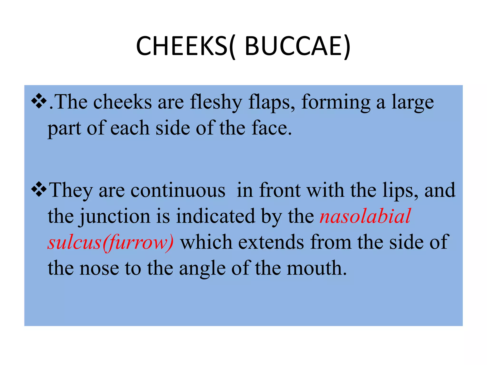 Cheeks( buccae) | PPTX