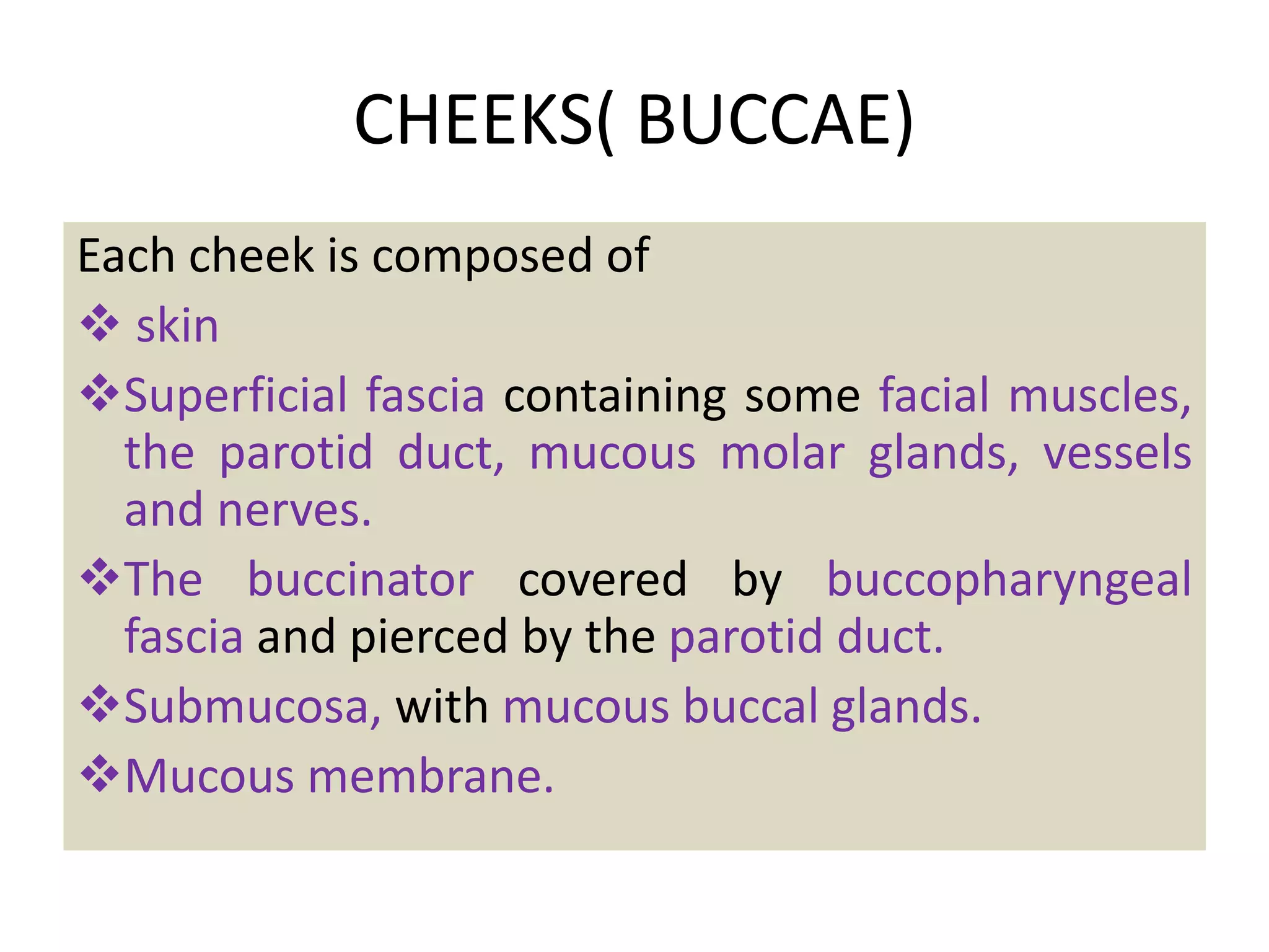Cheeks( buccae) | PPTX | Ear, Nose and Throat Conditions | Diseases and ...