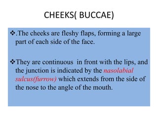 Cheeks( buccae) | PPTX