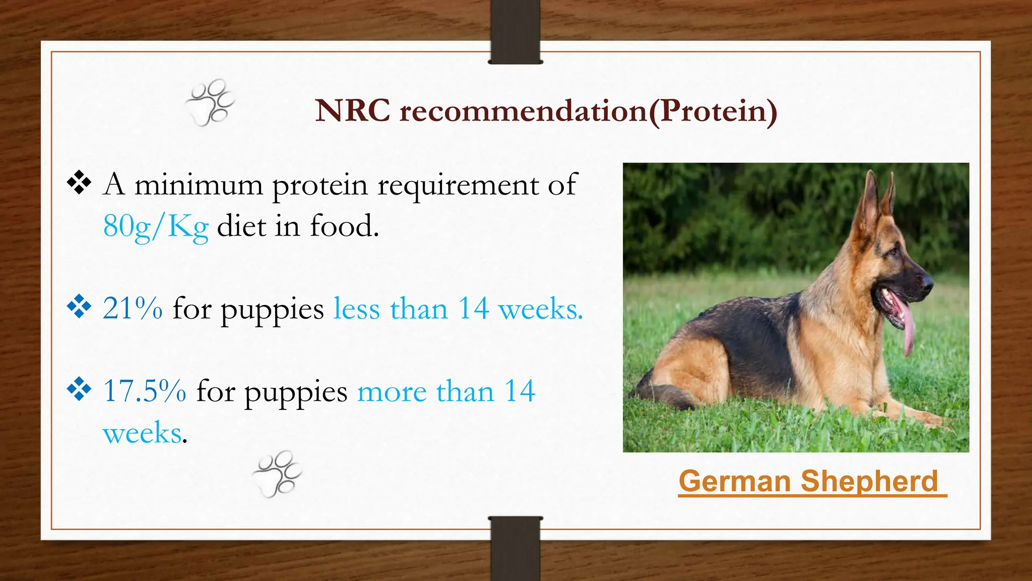 DOG NUTRITION.pptx dog nutrient requirement | PPTX