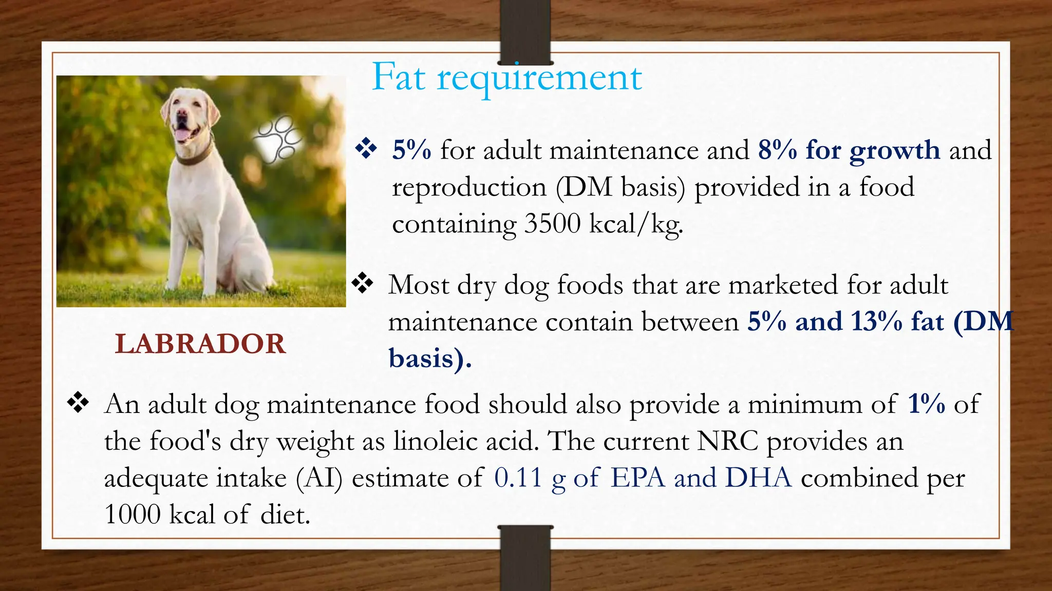 DOG NUTRITION.pptx dog nutrient requirement | PPTX