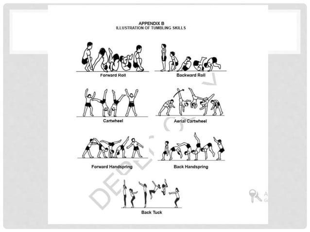 Cheerdance | PPTX | Cheerleading | Sports