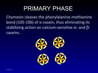 Cheese | PPT