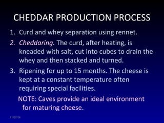 Cheese | PPT