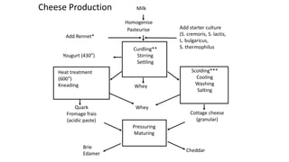 Cheese | PPT