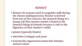 Cheese / cheese production | PPTX