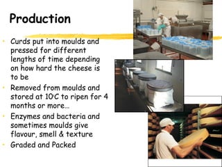 Cheese | PPT