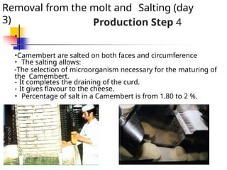 Cheese_Food Biotechnology_Undergraduate.pptx