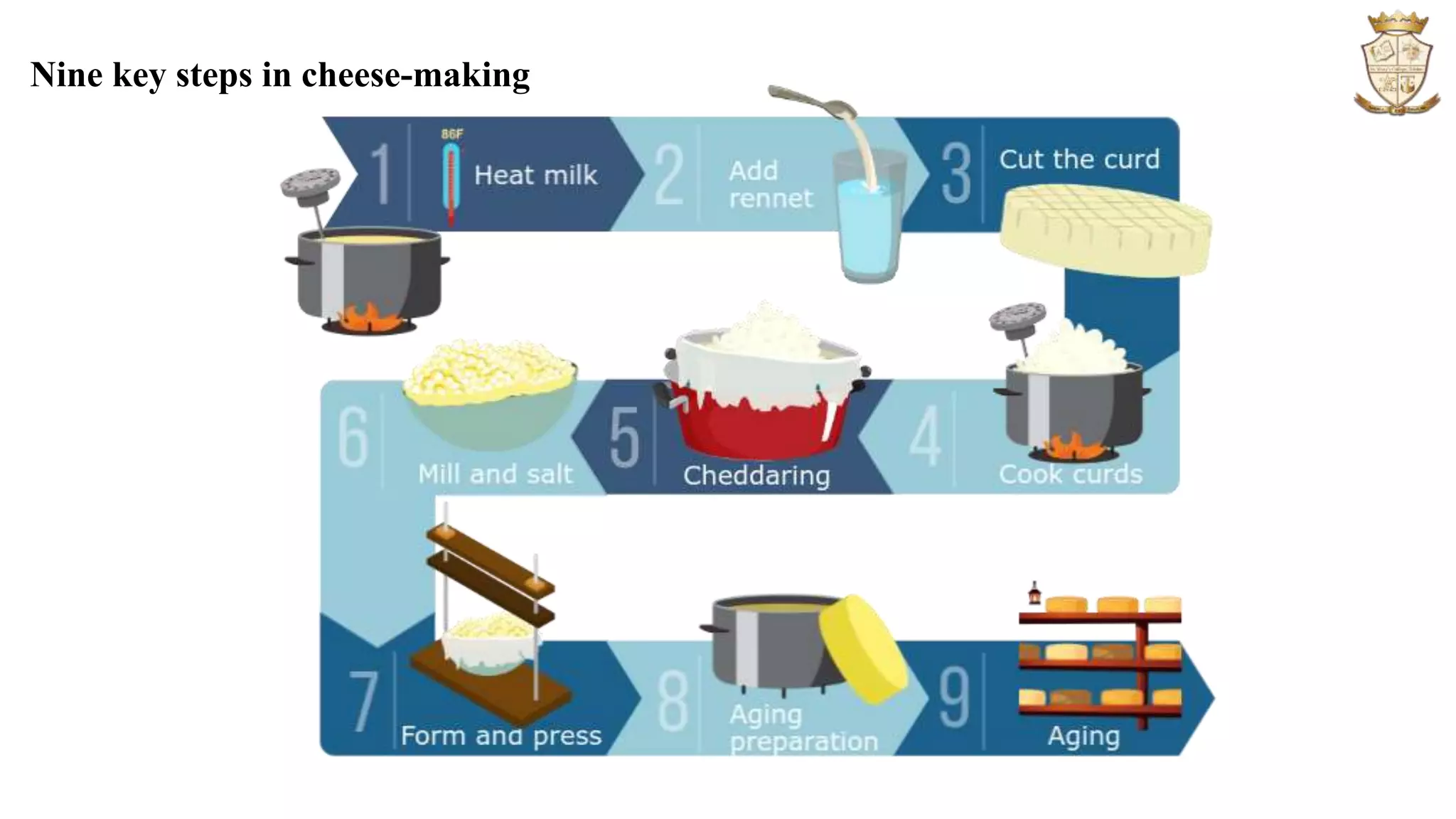 Cheese fermentation | PPTX