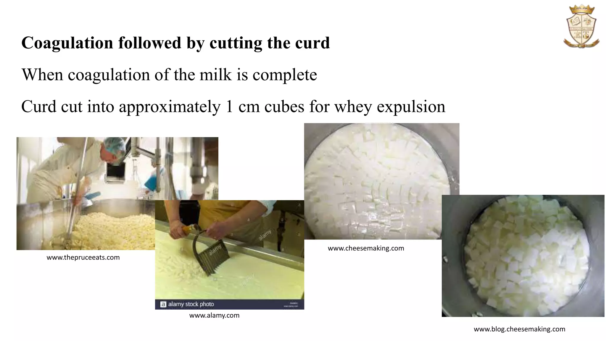 Cheese fermentation | PPTX