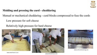 Cheese fermentation | PPTX