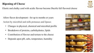 Cheese fermentation | PPTX