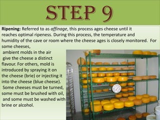 Cheese making | PPTX